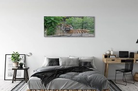 akrylový obraz Tiger Woods 120x60 cm