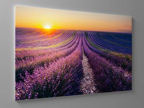 Liox Obraz západ slunce Provence Rozměr: 120 x 80 cm
