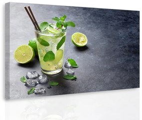 Obraz na plátně mojito Velikost (šířka x výška): 60x40 cm