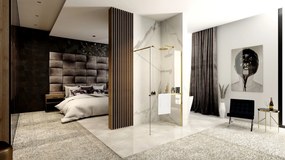 Rea Aero, sprchová zástěna typu Walk-In 110cm, 8mm čiré sklo, zlatý lesklý profil + polička a věšák EVO, KPL-K8441