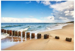 Fototapeta Pláž, moře 104x70
