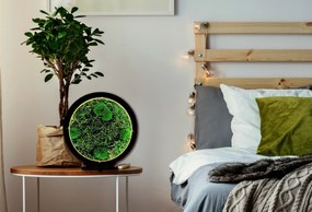 Li-Go "Mechové kopečky" lampa/obraz 31 cm provedení povrchu: dub světlý