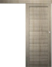 posuvné interiérové dveře na stěnu vasco doors SANTIAGO plné, model 1 Průchozí rozměr: 70 x 197 cm, Orientace dveří: Levé dveře, Dekor: Bílá