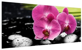 Obraz květů orchideje (100x40 cm)
