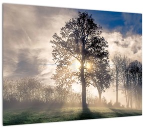 Skleněný obraz stromu v mlze (70x50 cm)