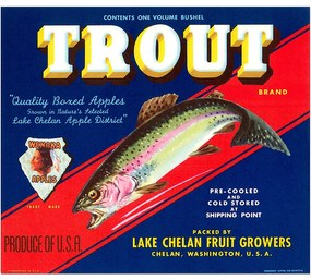 Retro cedule - Trout Brand