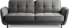 Bellis