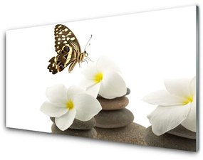 Obraz na skle Motýl Květ Kameny Rostlina 120x60 cm