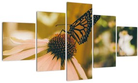Obraz motýla na květině (125x70 cm)