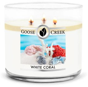 Goose Creek Candle svíčka White Coral, 411 g