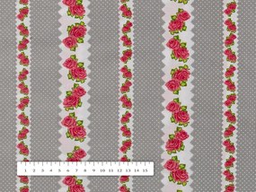 Biante Bavlněný povlak na polštář s lemem Sandra SA-419 Růžičky na šedém puntíkovaném 50 x 50 cm