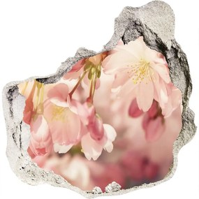 Wallmuralia Samolepící díra na stěnu Květy višně 75x75 cm