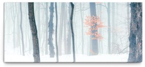 Malvis ® Obraz Zimní les v mlze Velikost (šířka x výška): 55x25 cm