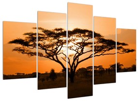 Obraz africké savany (150x105 cm)