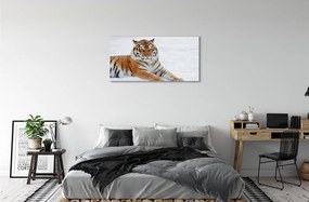 Obrazy na plátně Tiger winter 140x70 cm