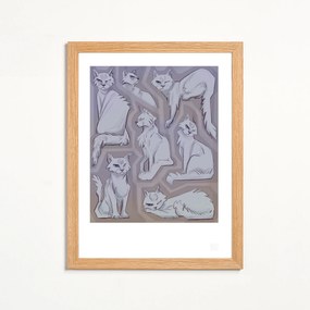 Lucie Talaber | One Eye Cat Rám: Černý, Velikost: 60 x 40 cm