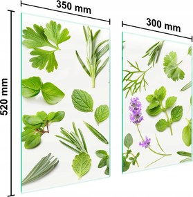 Skleněná Ochranná Deska Do Kuchyně 65x52 Rostliny
