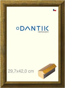 DANTIK rámeček 29,7x42 | Forgia Gold (Plexi Čiré)