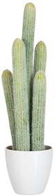 Okrasný kaktus v květináči - 16*14*54cm