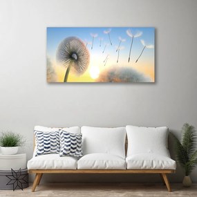 Obraz na plátně Pampeliška Květiny 100x50 cm