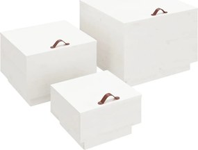 vidaXL Úložné boxy s víkem 3 ks masivní borové dřevo [818246] Barva: Přírodní