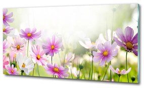Wallmuralia Foto obraz sklo tvrzené Květiny na louce 100x50