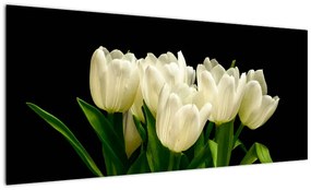 Bílé tulipány - obraz (100x40cm)