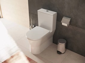 Hansgrohe AddStoris, držák na WC kartáč nástěnný, chromová, HAN-41752000