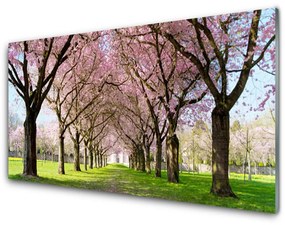 Obraz na skle Stezka Stromy Příroda 120x60 cm
