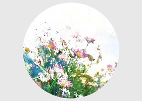 Samolepící vliesová fototapeta na zed' Divoké Kvítí | 140 x 140 cm | DCR3301