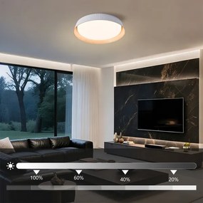 Brilagi - LED Stmív. strop. sv. ORINO LED/54W/230V 3000-6000K bílá pr. 43 cm +DO