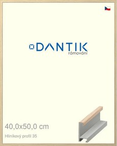 DANTIK rámeček 40x50 | ALU profil 6035 Dýha dub raw (Sklo Čiré)