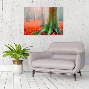 Skleněný obraz stromů (70x50 cm)
