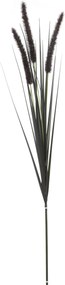 XXXLutz OROBINEC 85 cm Ambia Home - Dekorační tráva - 0039530103