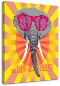 Gario Obraz na plátně Slon s brýlemi Rozměry: 40 x 60 cm