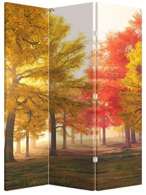 Paraván - Podzimní stromy (126x170 cm)