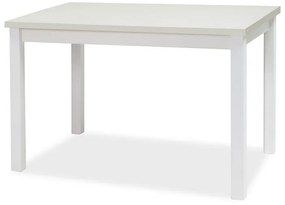Jídelní stůl Alfred (bílá matná + bílá matná) (pro 4 osoby). 1049836