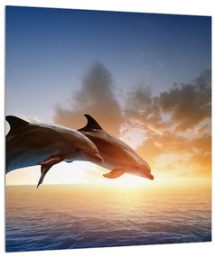 Obraz delfínů (30x30 cm)