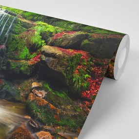 Samolepící fototapeta vodopád v lese