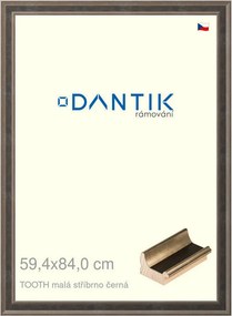DANTIK rámeček 59,4x84 | TOOTH malá stříbrno černá (Plexi Čiré)
