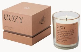 Vonná svíčka Cozy (kašmír a francouzská kosatec)