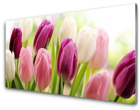 Obraz na skle Tulipány Květiny Příroda Louka 120x60 cm