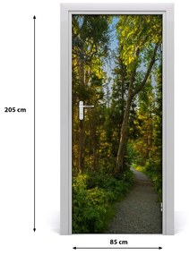 Fototapeta na dveře stezka v lese 85x205 cm