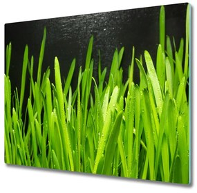 Skleněná krájecí deska tráva 60x52 cm