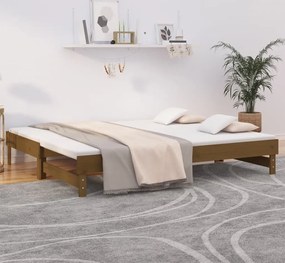 vidaXL Výsuvná postel 2x (90 x 200) cm masivní borovice [823379] Barva: medová hnědá