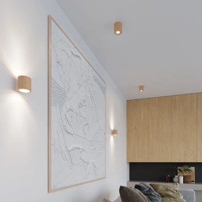 Sollux Lighting Stropní svítidlo ORBIS přírodní dřevo