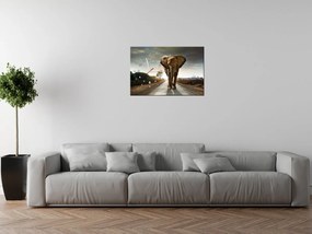 Gario Obraz s hodinami Osamělý silný slon Rozměry: 30 x 30 cm