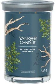 Yankee Candle – Signature Tumbler svíčka Bayside Cedar (Pobřežní cedr) Velikost: velká 567 g