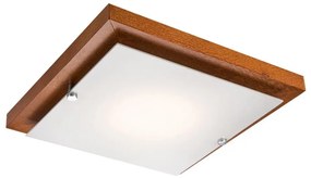 LED Stropní svítidlo 1xLED/12W/230V