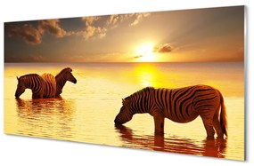 akrylový obraz Zebry voda západ slunce 125x50 cm